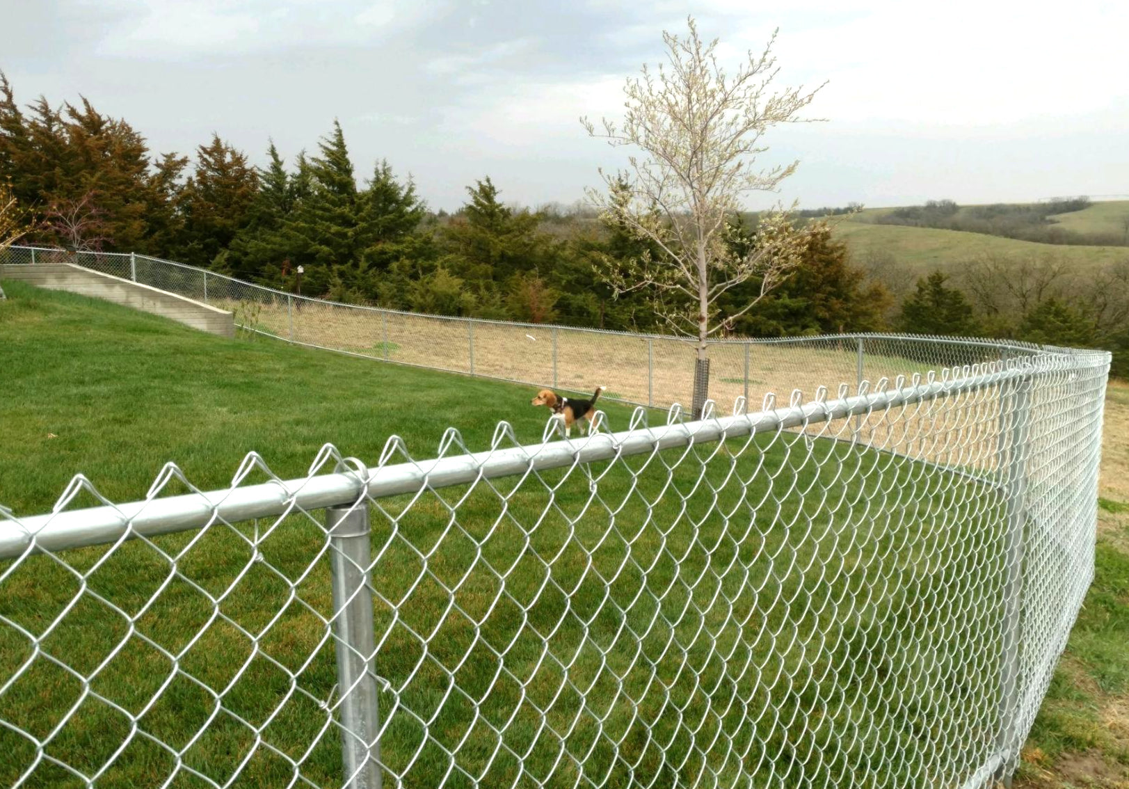 42" Residential Galvanized Chain Link – Shop Chain Link