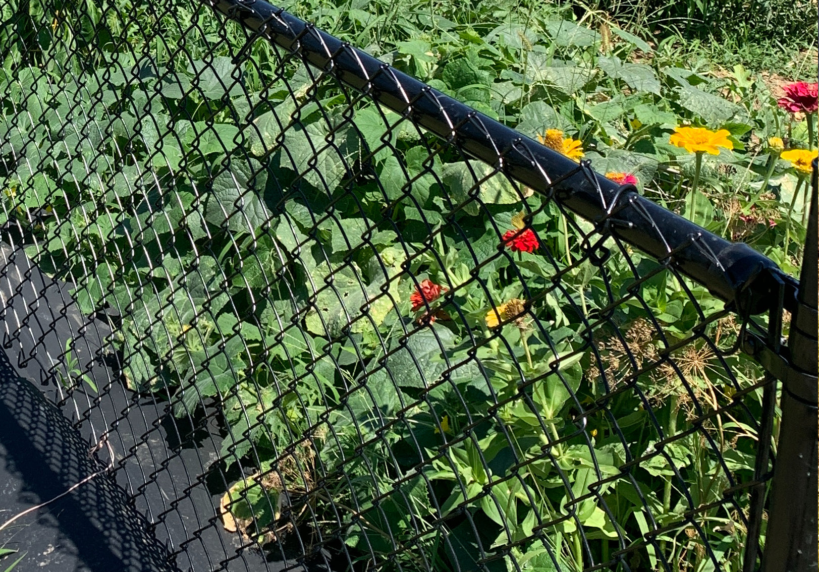 42" Residential Black Chain Link – Shop Chain Link